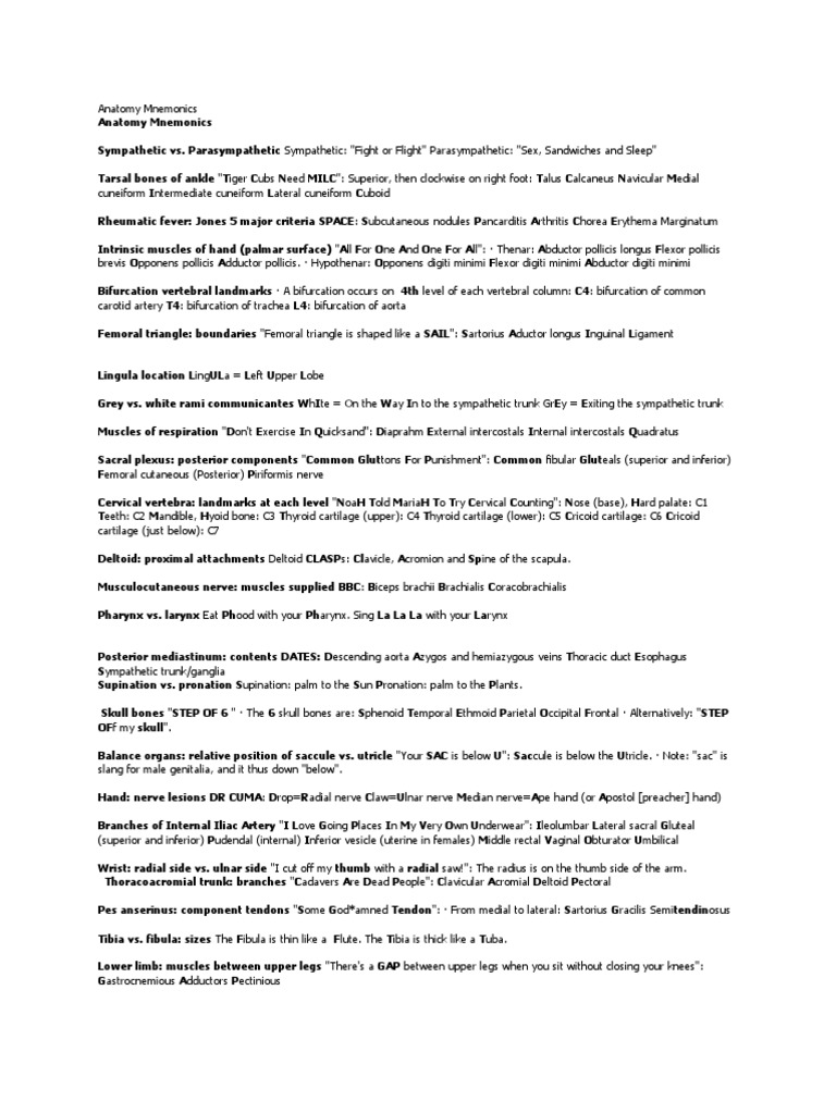 Essential Anatomy Mnemonics Guide | PDF