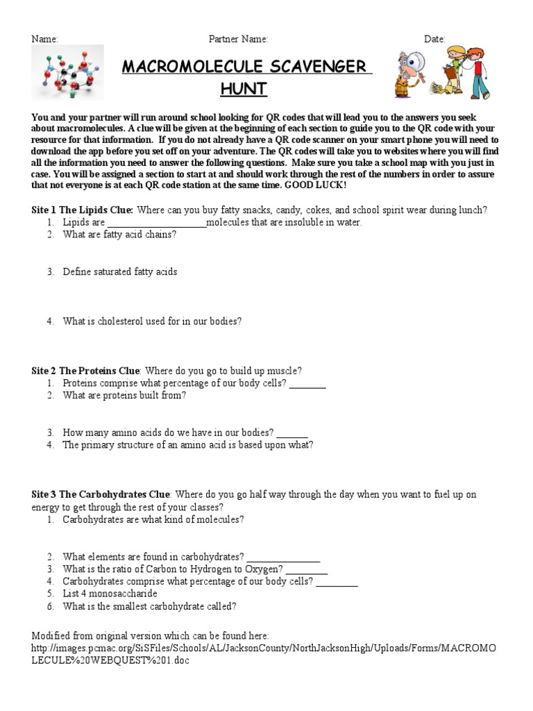 Macromolecule Scavenger Hunt | PDF | Macromolecules | Carbohydrates