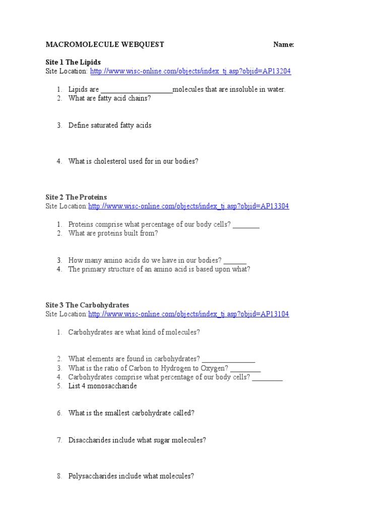 Macromolecule Webquest Overview | PDF
