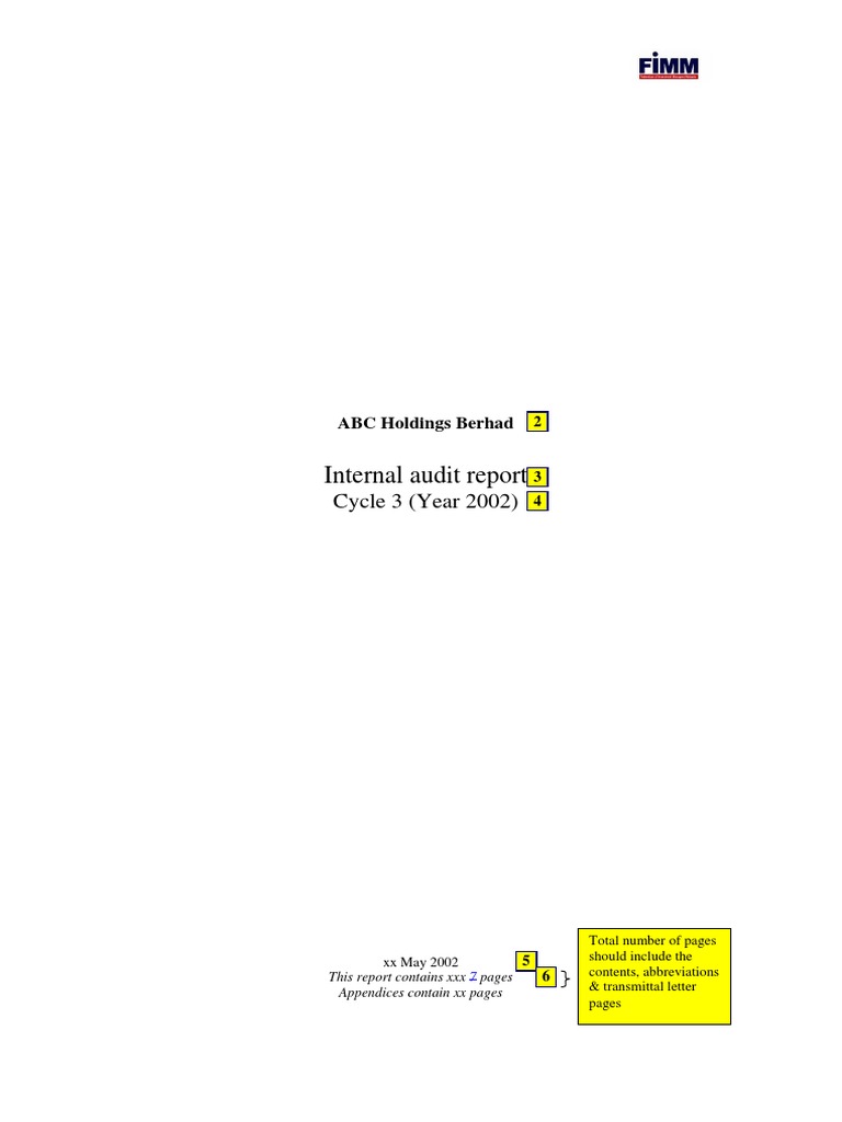 ABC Report IA | PDF | Internal Audit | Swot Analysis