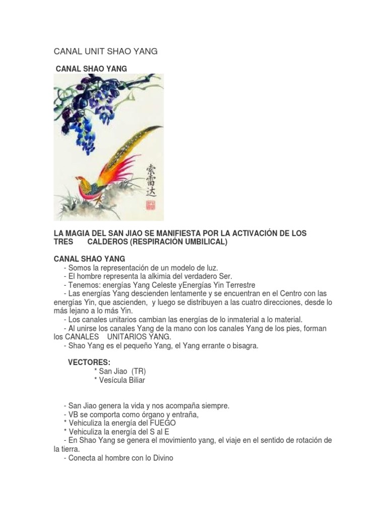 Canal Unit Shao Yang | PDF | Yin y yang | Dom