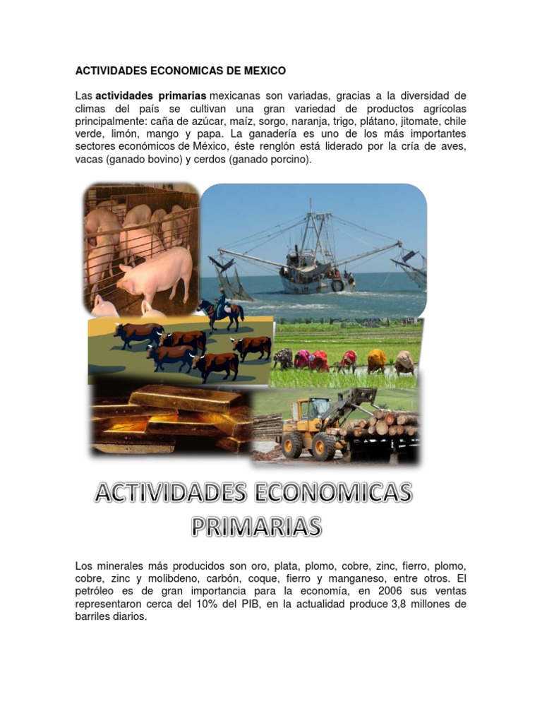 Actividades Económicas En México Pdf Campeche México