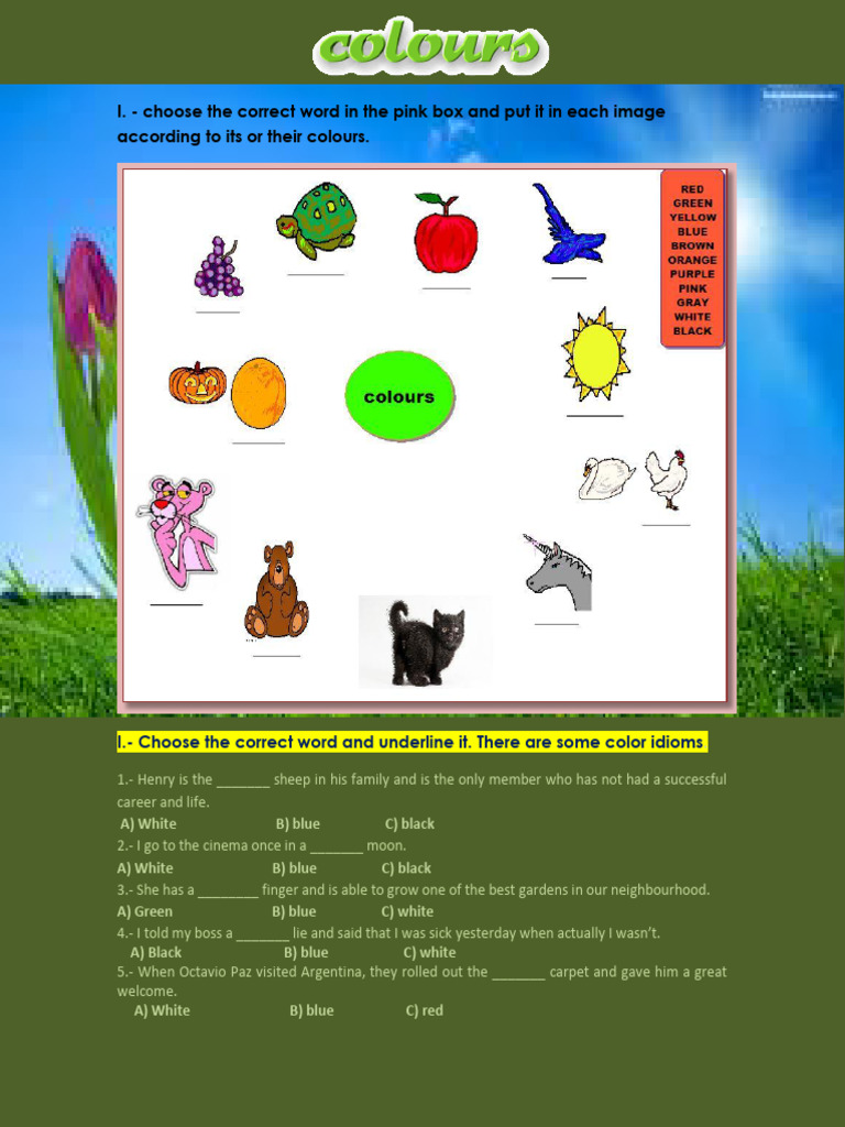 Color Idioms and Matching Exercise | PDF
