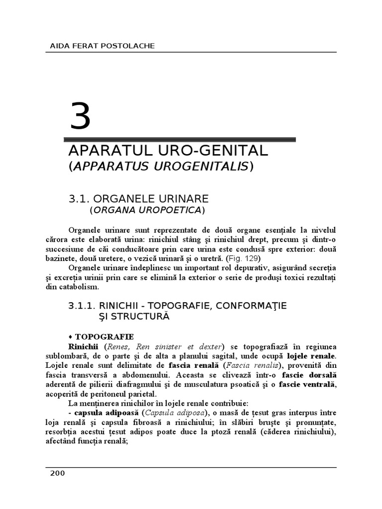 CAP3 Veterinara | PDF