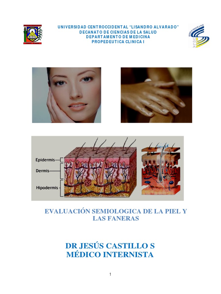 La Piel En Pdf2 Pdf Epidermis Piel