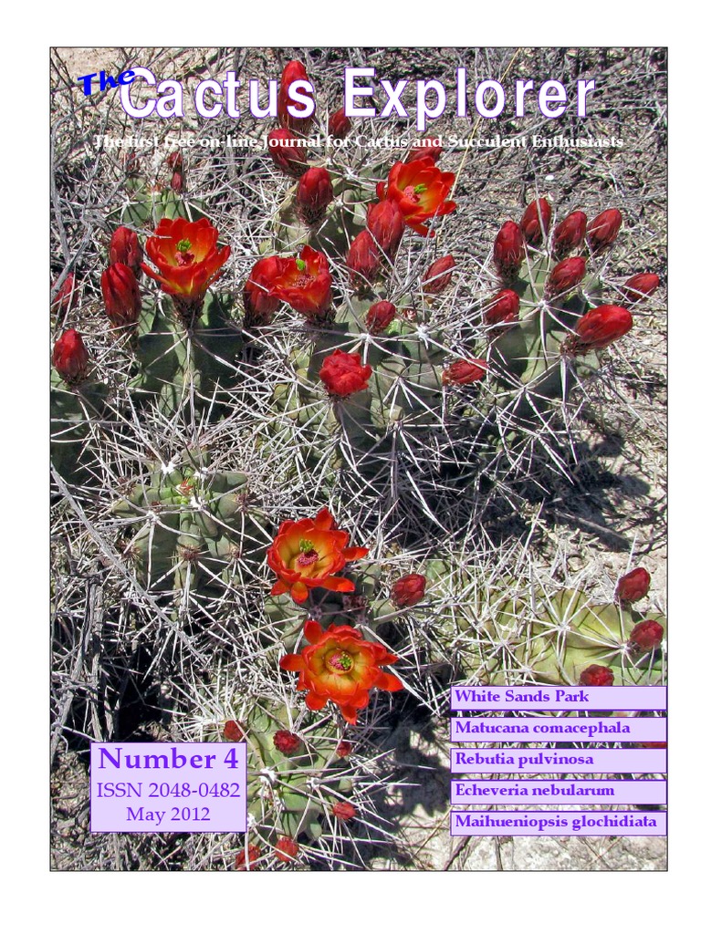 Cactus Explorer 4 - Complete | PDF | Sustainable Gardening | Botanical ...