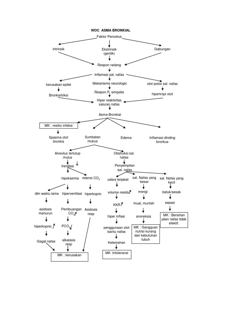 Pathway Asma Bronkial pada Anak | PDF | Kesehatan Holistik