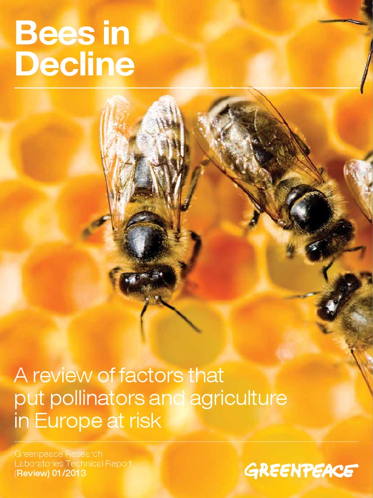 Bees in Decline | Download Free PDF | Organic Farming | Honey Bee
