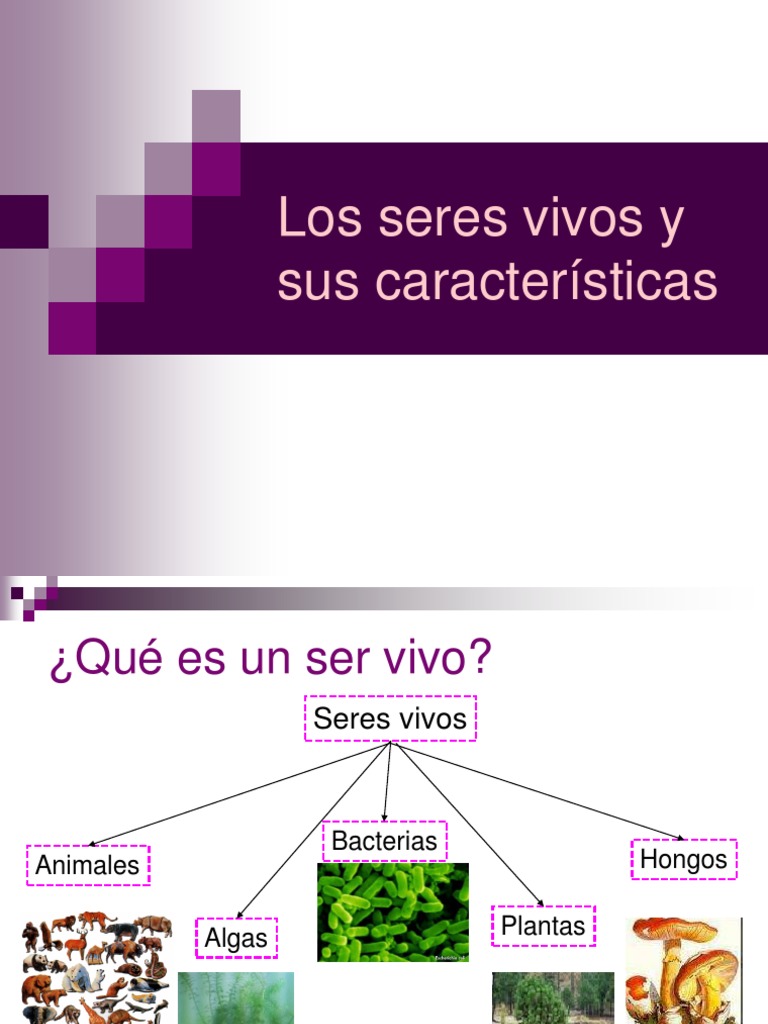 Caracteristicas de Los Seres Vivos | PDF | Organismos | Biología Celular)