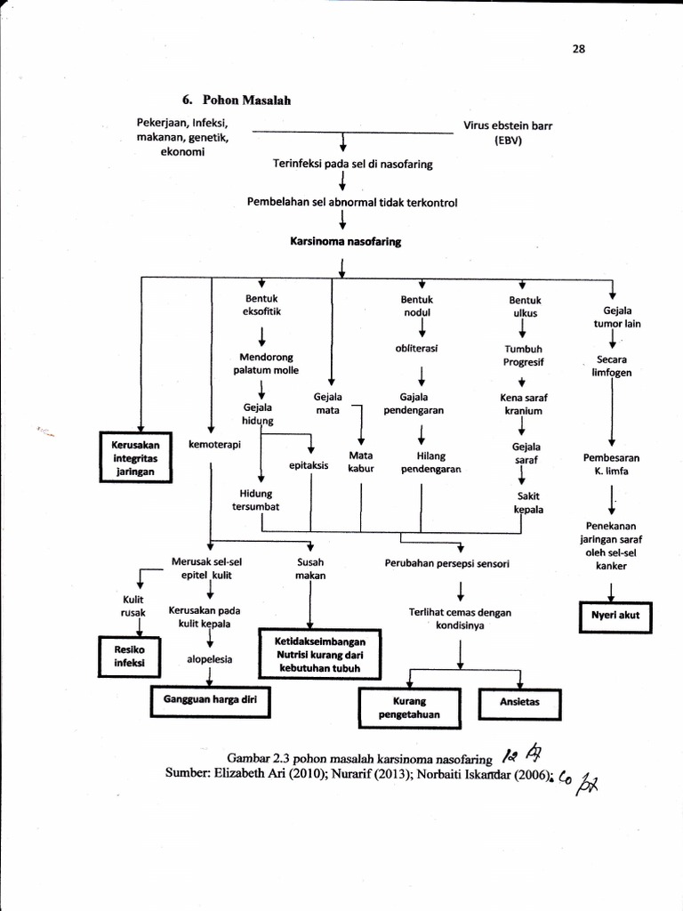 pathway CA NASOFARING