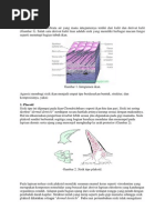 Tipe Sisik Ikan dan Karakteristiknya | PDF