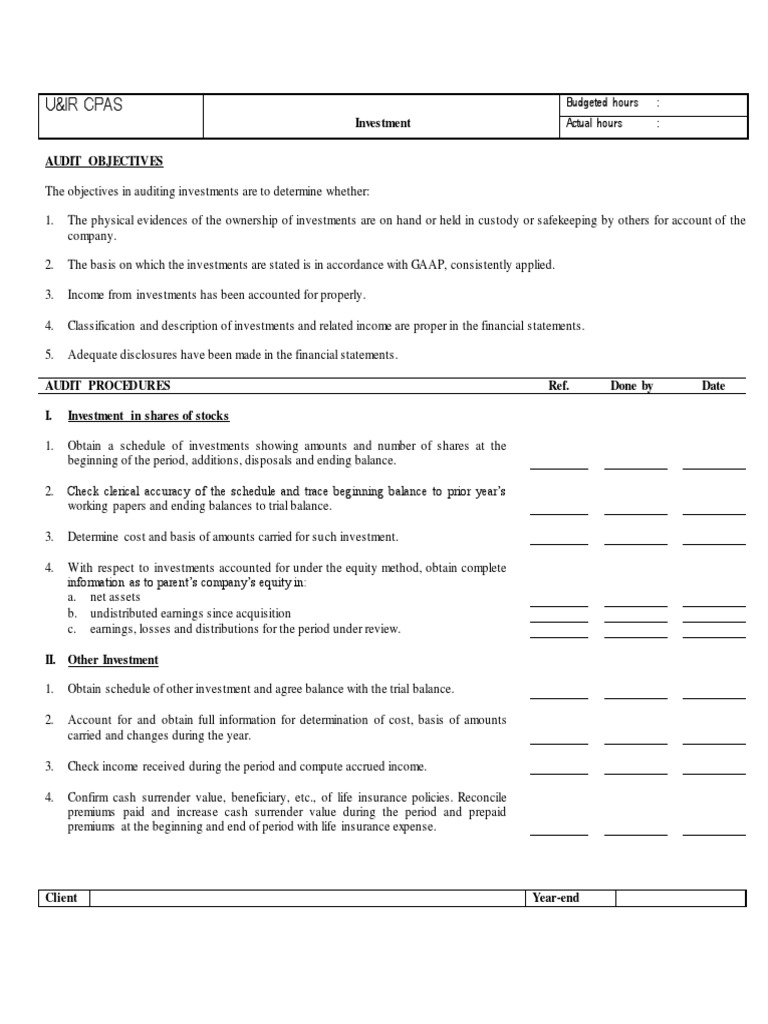 Investment_Audit Program - Handouts | Investing | Audit