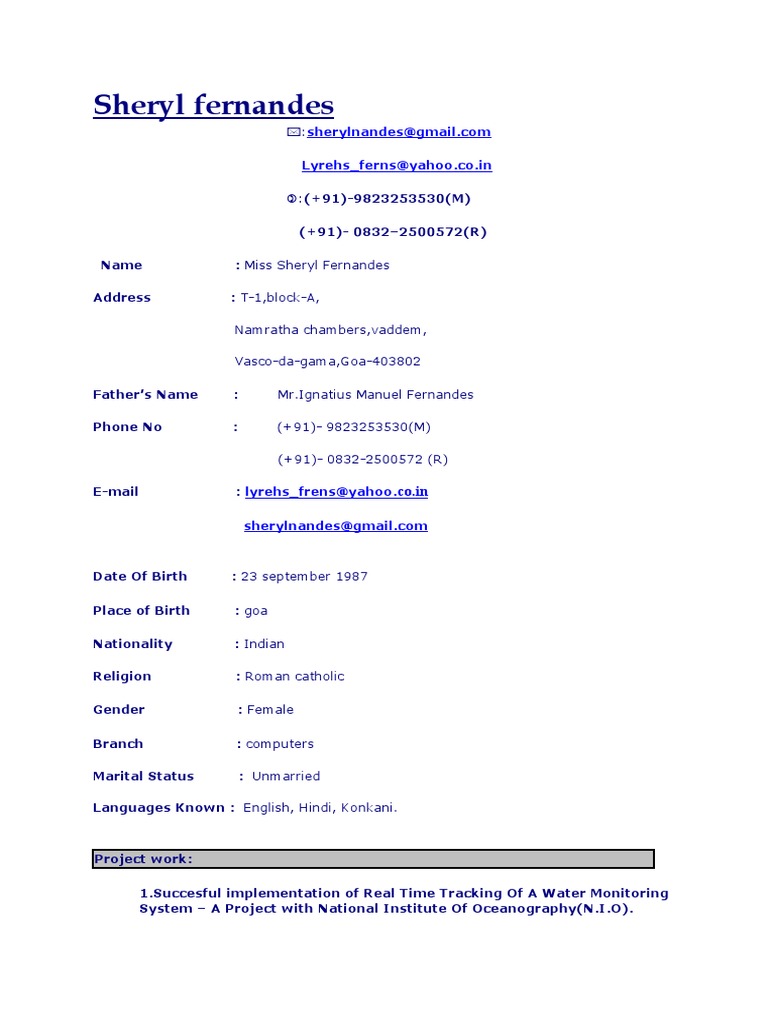 Sheryl Fernandes: Profile Overview | PDF | Information Technology ...