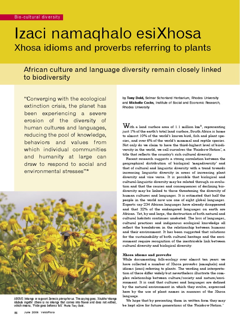 Izaci Namaqhalo EsiXhosa Xhosa Idioms and Proverbs Referring to Plants ...
