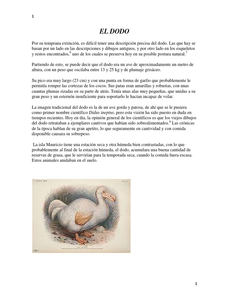 El Dodo | PDF | Paravianos | Tetrápodos