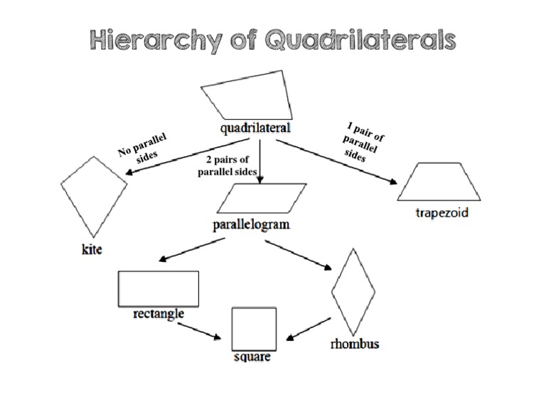 Hierarchy of Quadrilaterals | PDF