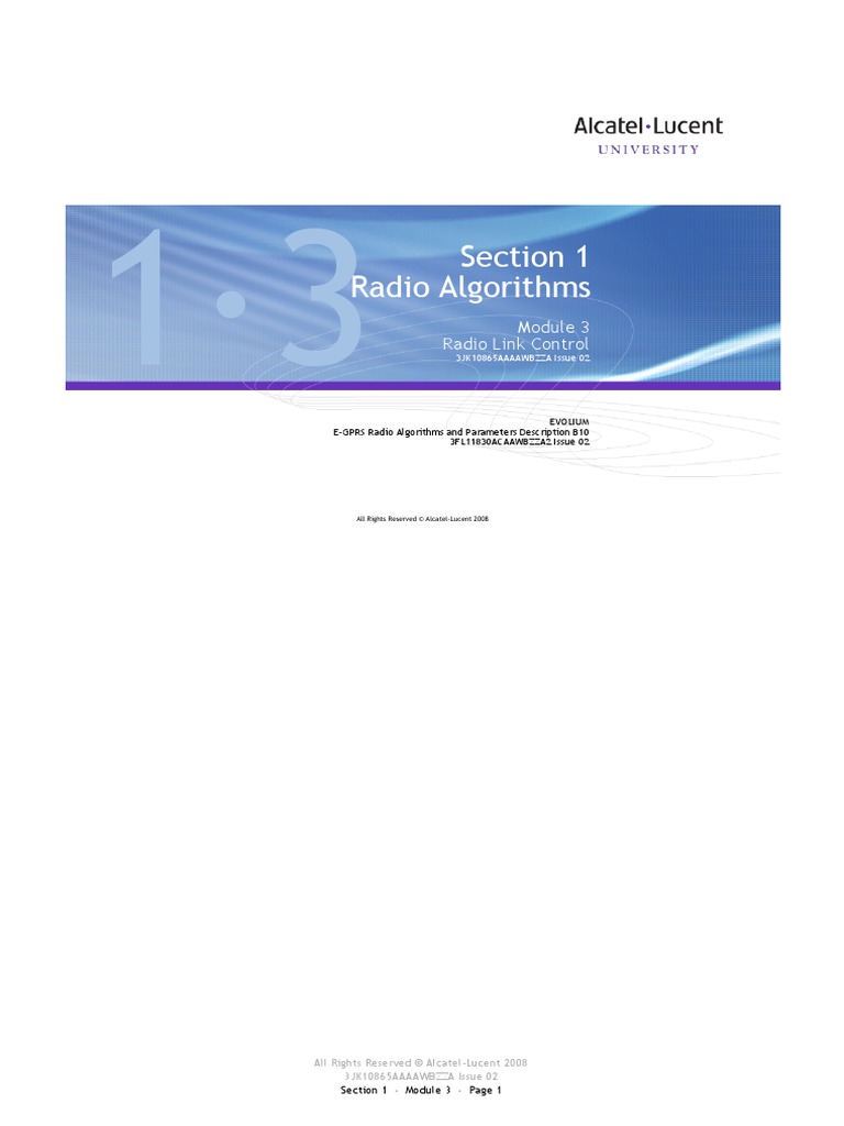 3 3jk10865aaaawbzza Radio Link Control | PDF | General Packet Radio ...