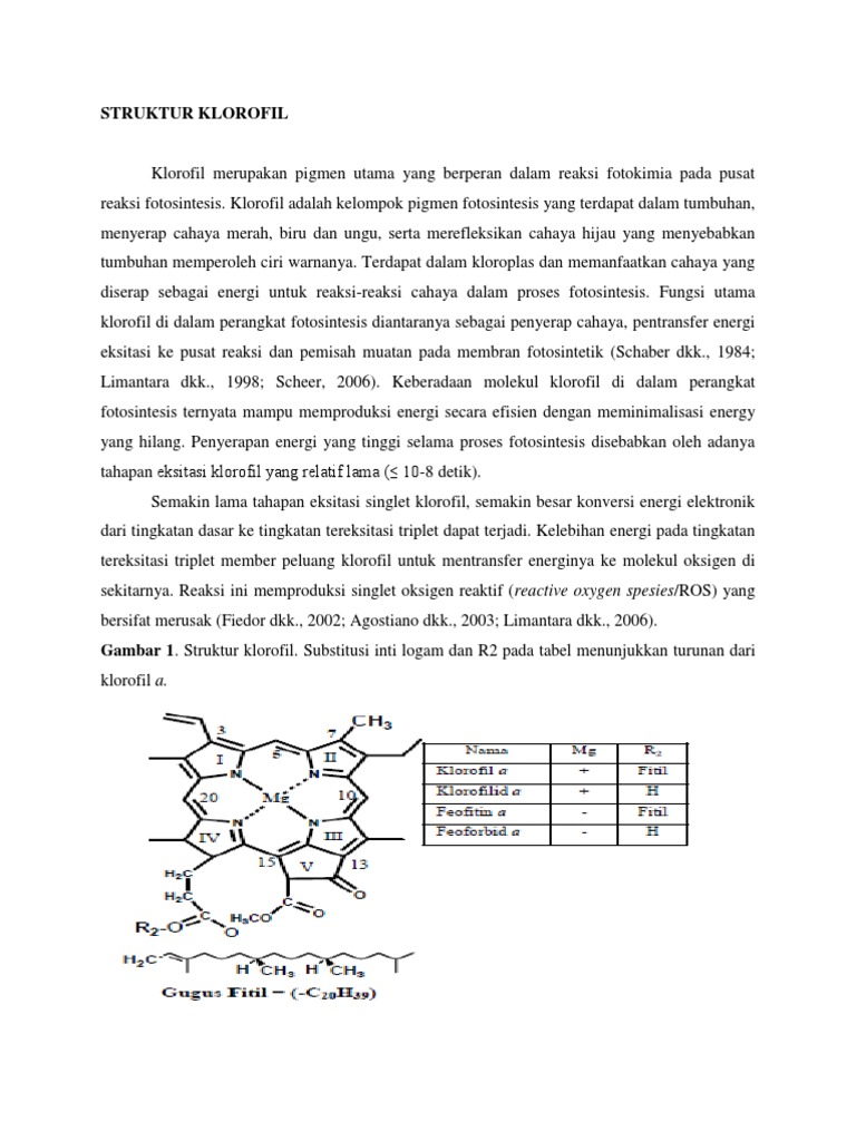 Struktur Klorofil | PDF