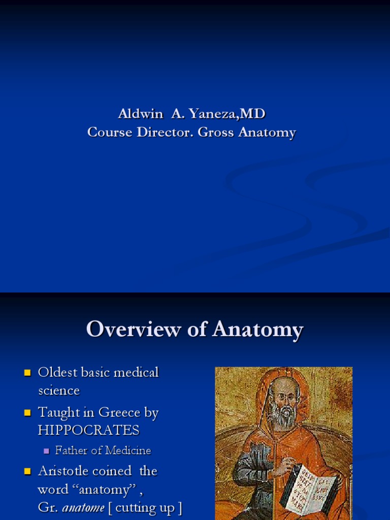 Aldwin A. Yaneza, MD Course Director. Gross Anatomy | PDF | Anatomy ...