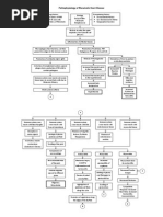 Appendicitis Pathway and Risks | PDF | Inflammation | Medical Specialties