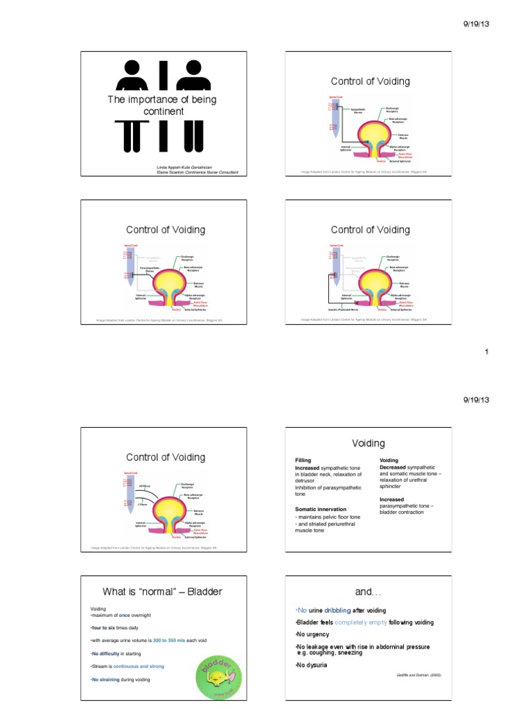 The Importance of Being Continent Control of Voiding | PDF | Urinary ...