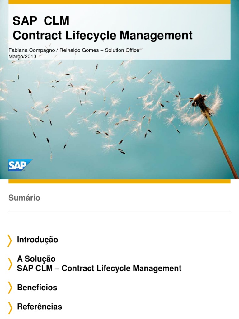 CLM PDF | PDF | Sap Se | Programas