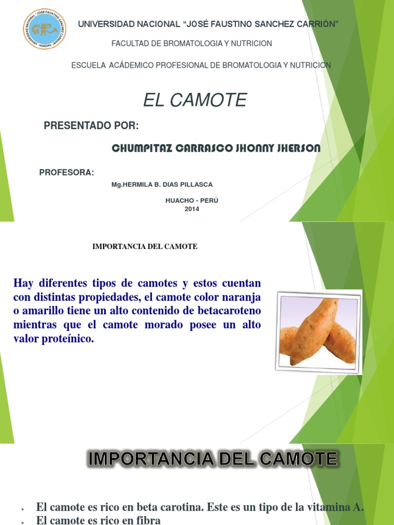 El Camote | PDF | Batata | Comida y bebida