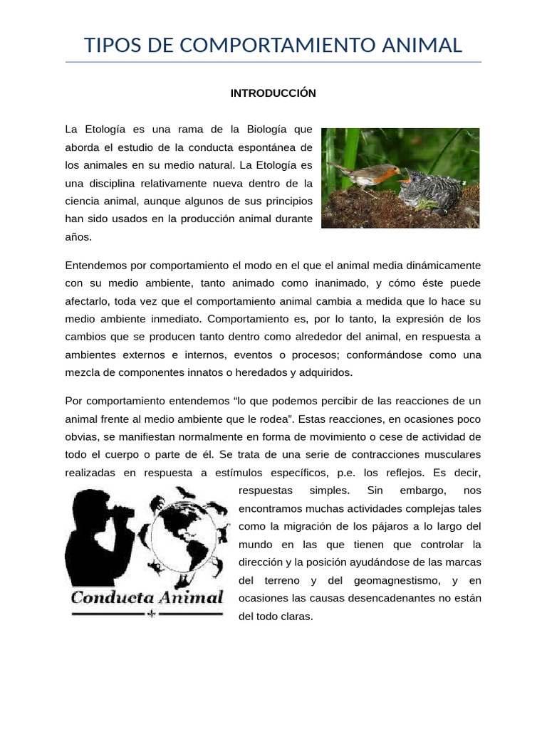 Los diferentes tipos de comportamiento animal y su estudio a través de ...