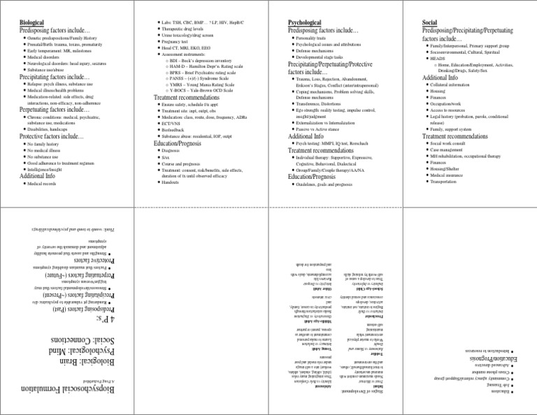 Biopsychosocial Formulation Pocketmod | PDF | Therapy | Mental And ...