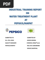 Pepsi Co Manufacturing Process | PDF | Drink | Carbonated Water