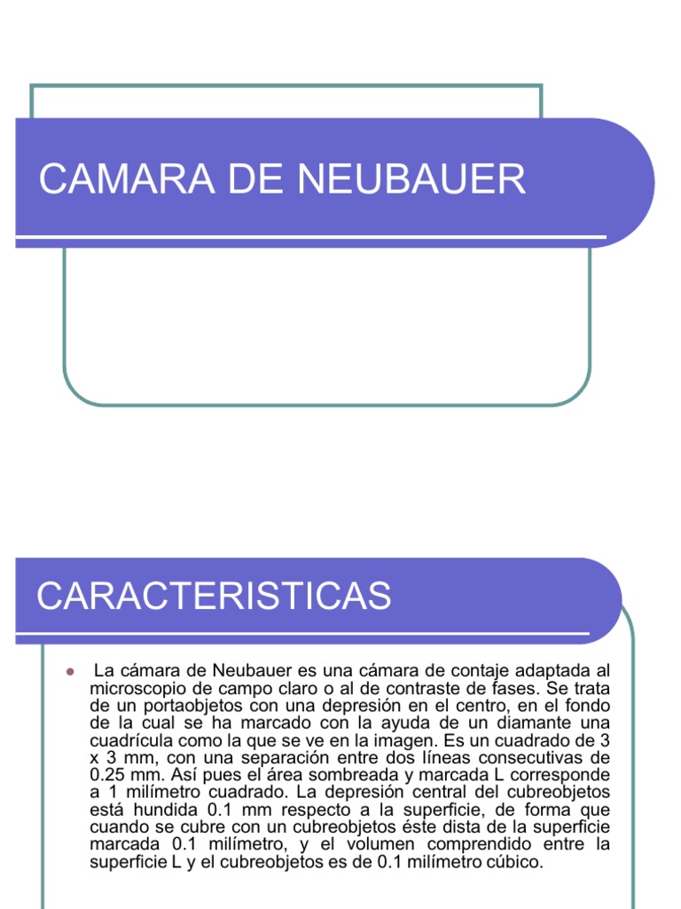 Dibujo de la Cámara de Neubauer | PDF