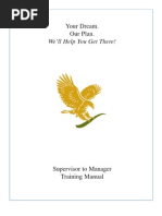 Amway Plan | PDF | Business (General)