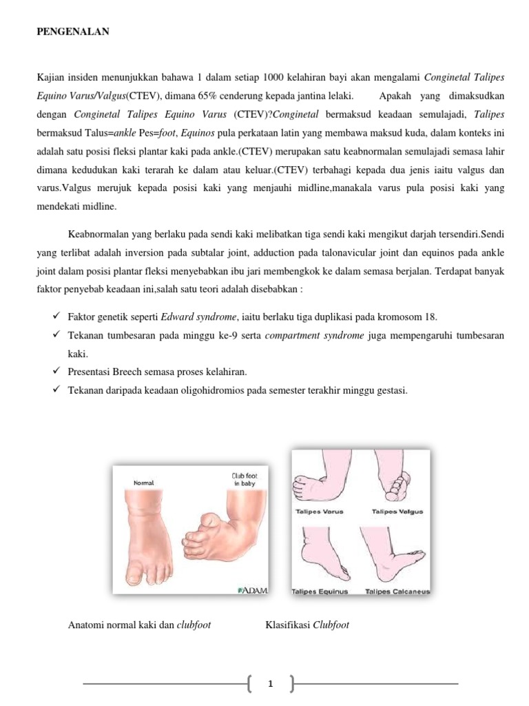 Case Study Klinik Ortho Taiping | PDF