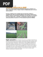 LITOSOLES | PDF | Suelo | Roca (geología)