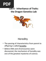 Harry Potter Genetics | PDF | Dominance (Genetics) | Allele