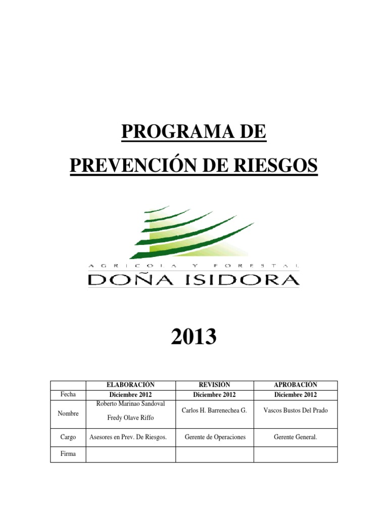 215 Plan 2013 | PDF | Seguridad | Seguridad y salud ocupacional