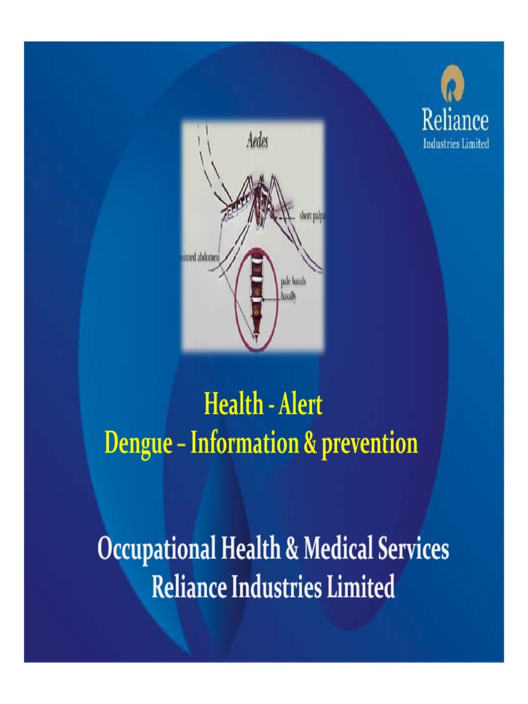 Dengue-Information Prevention | PDF | Mosquito | Virology