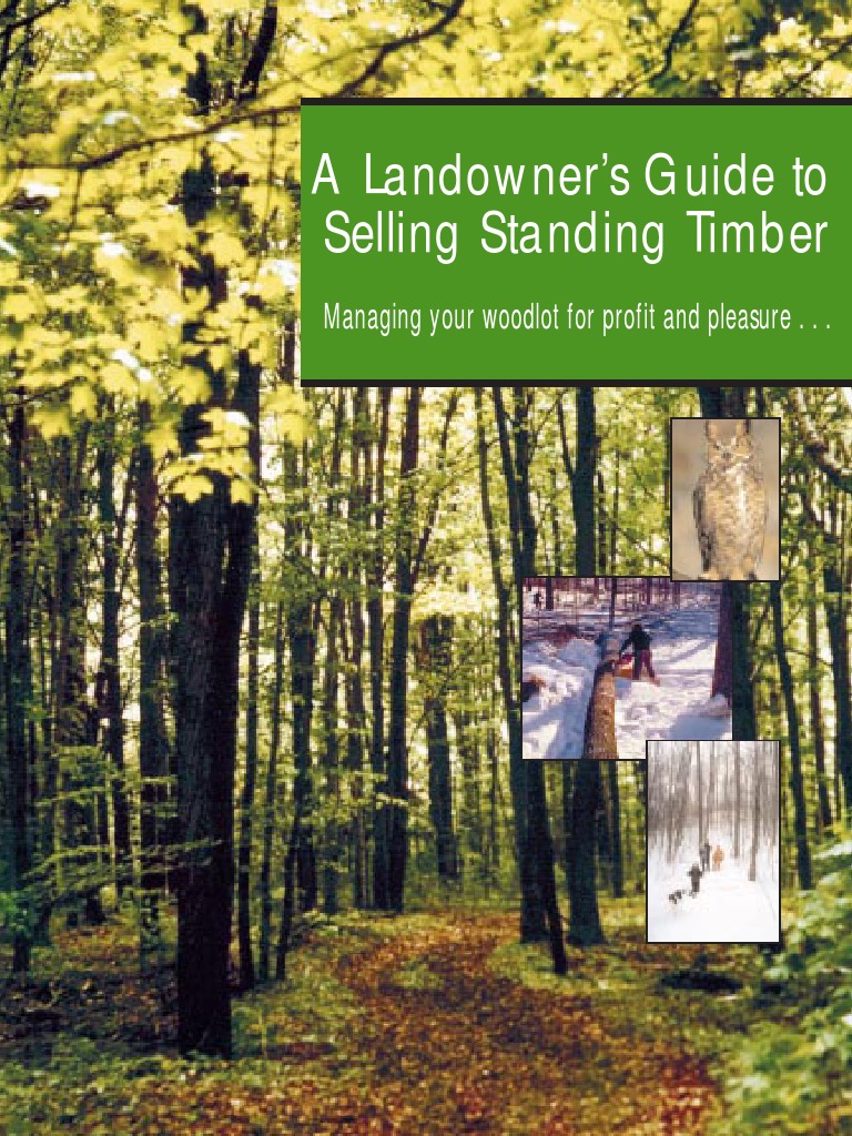 A Landowner's Guide To Selling Standing Timber | PDF | Logging | Forests