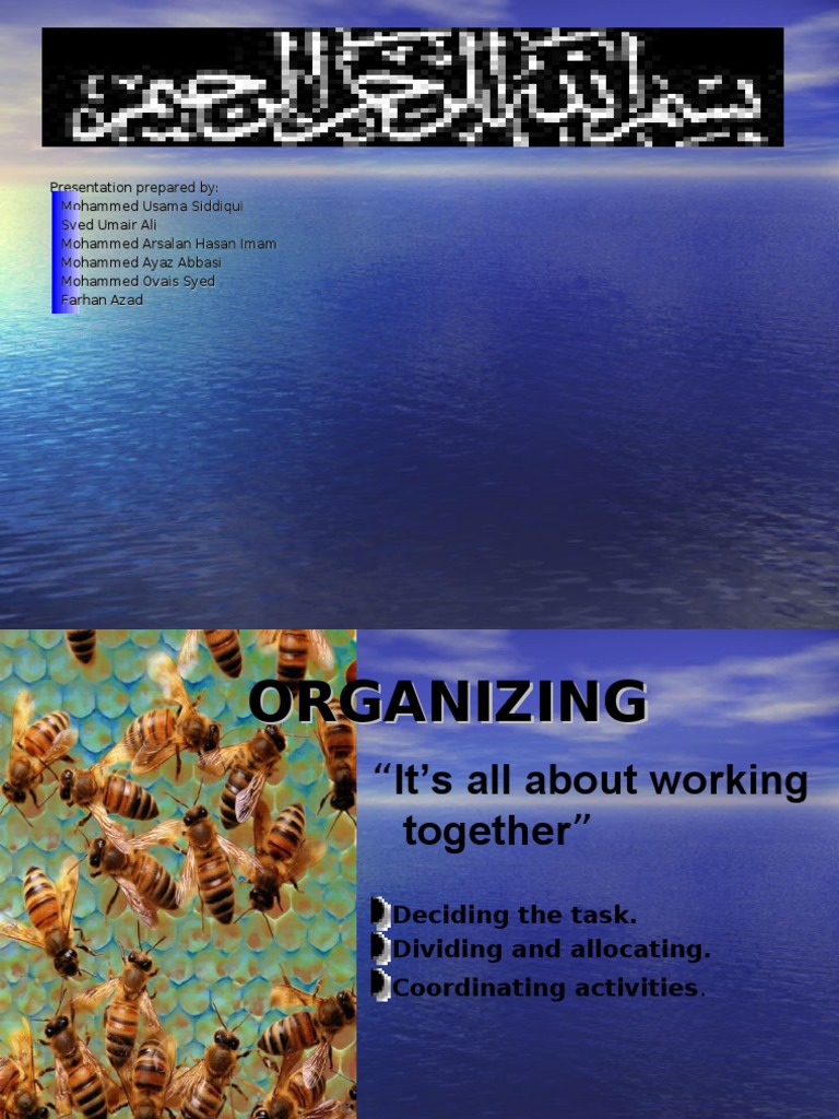 Basic Elements of Organization | PDF | Division Of Labour | Cognition