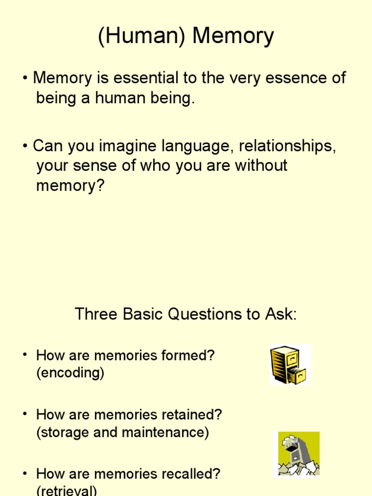 Human) Memory | PDF | Long Term Memory | Memory