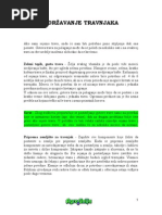 Ruze Topalovic Katalog | PDF