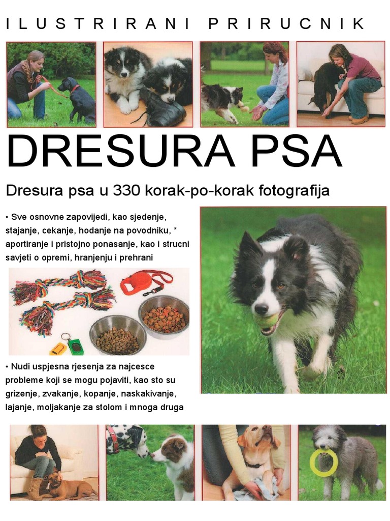 Dresura Psa Patsy Parry Pdf 9049