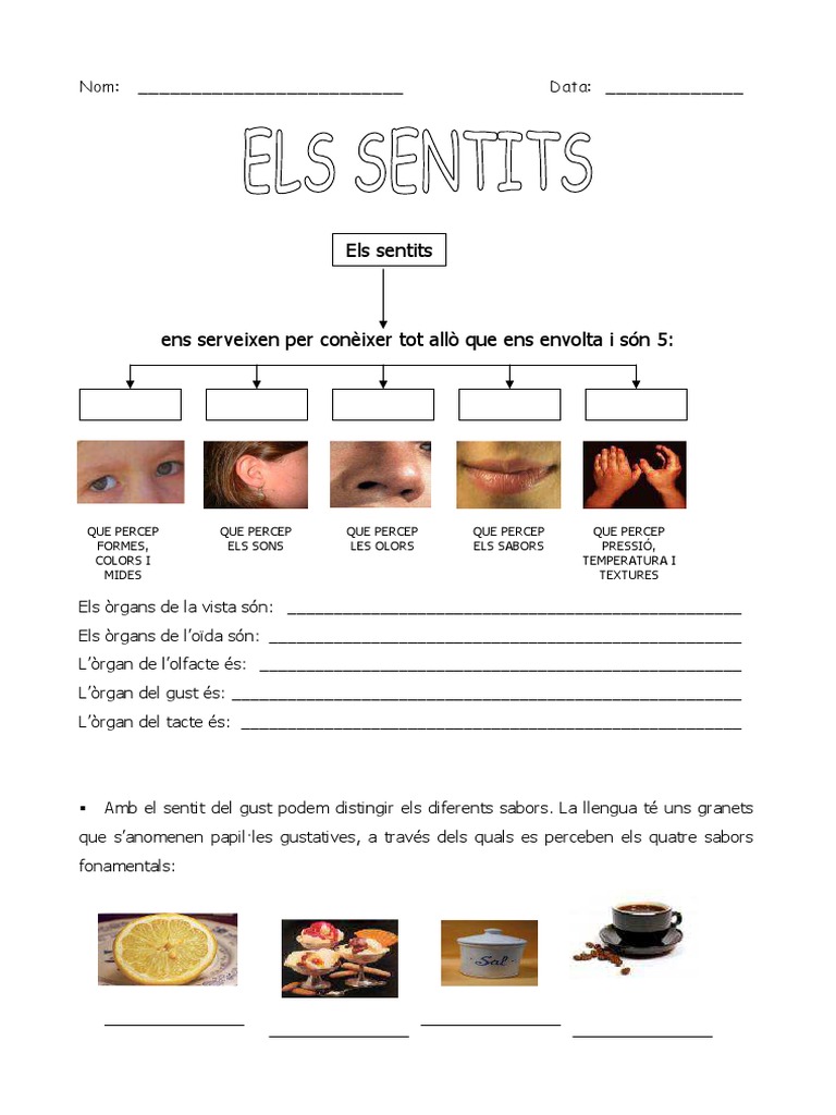 Experiments Amb Els Sentits | PDF