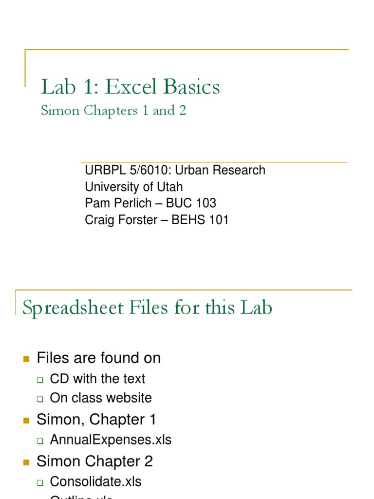Mastering the Basics: An Introduction to Excel Functions for Data ...