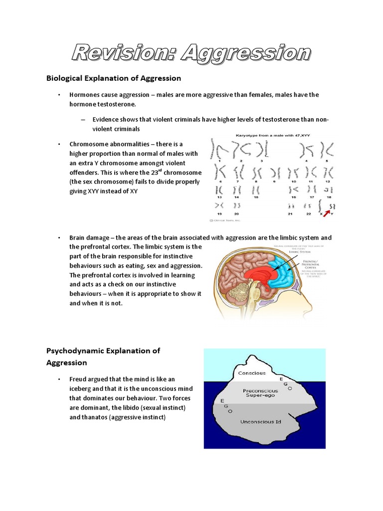 Revision Aggression | PDF | Id | Aggression