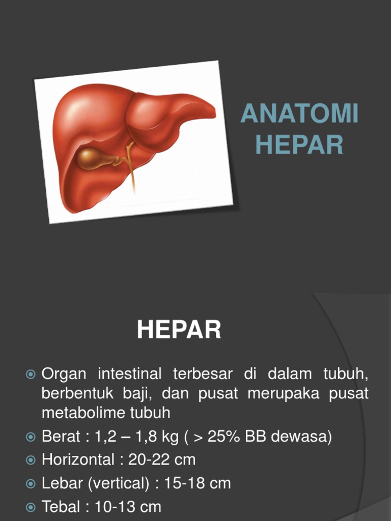 Anatomi Hepar | PDF | Kesehatan Holistik | Sains & Matematika