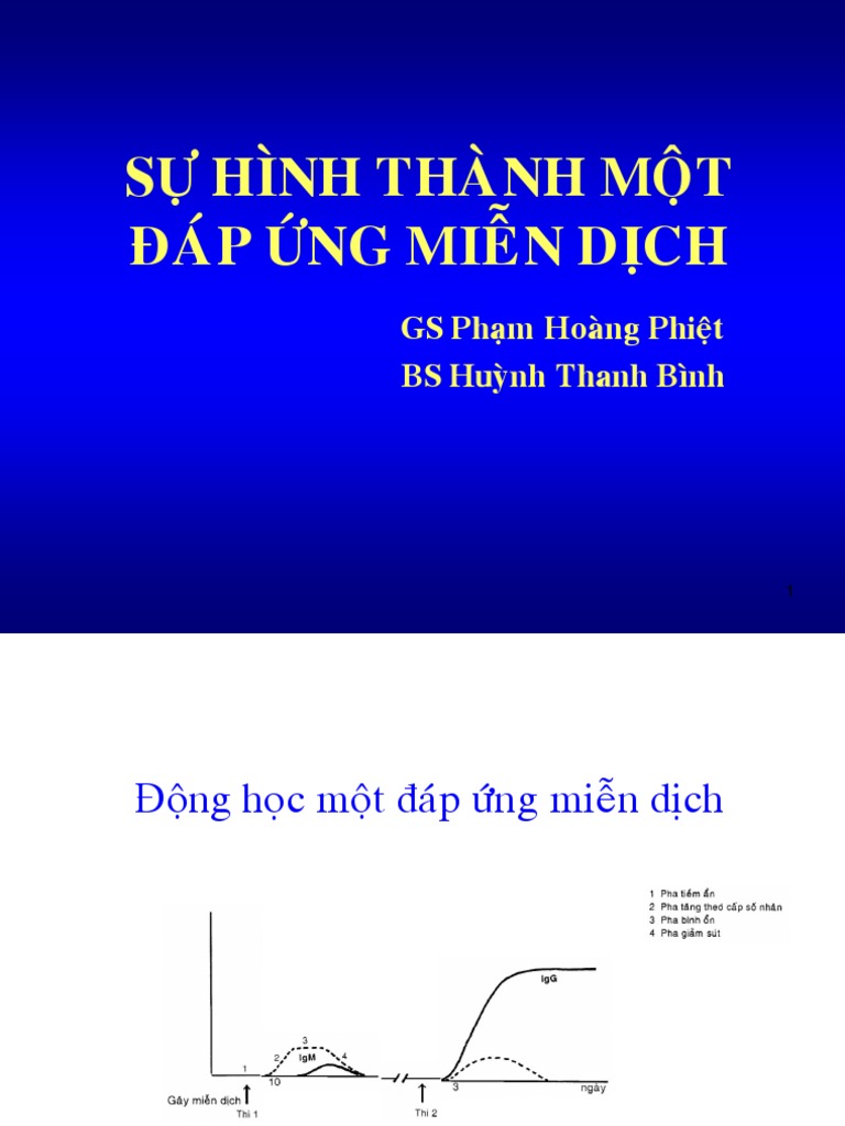08 Su Hinh Thanh Mot Dap Ung Mien Dich | PDF | Mhc Class I | T Helper Cell