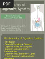Functions and Composition of Succus Entericus | PDF | Digestive System ...