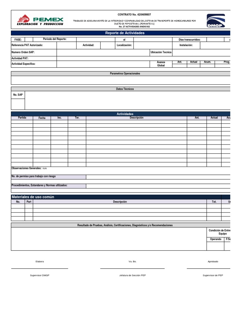 Formato E1 DMGP | PDF