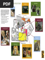 Chester Zoo Organizational Structure 2013 | PDF | Wellness